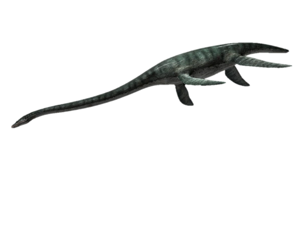 Elasmosaurus | PrehistoricPokemon Wiki | Fandom