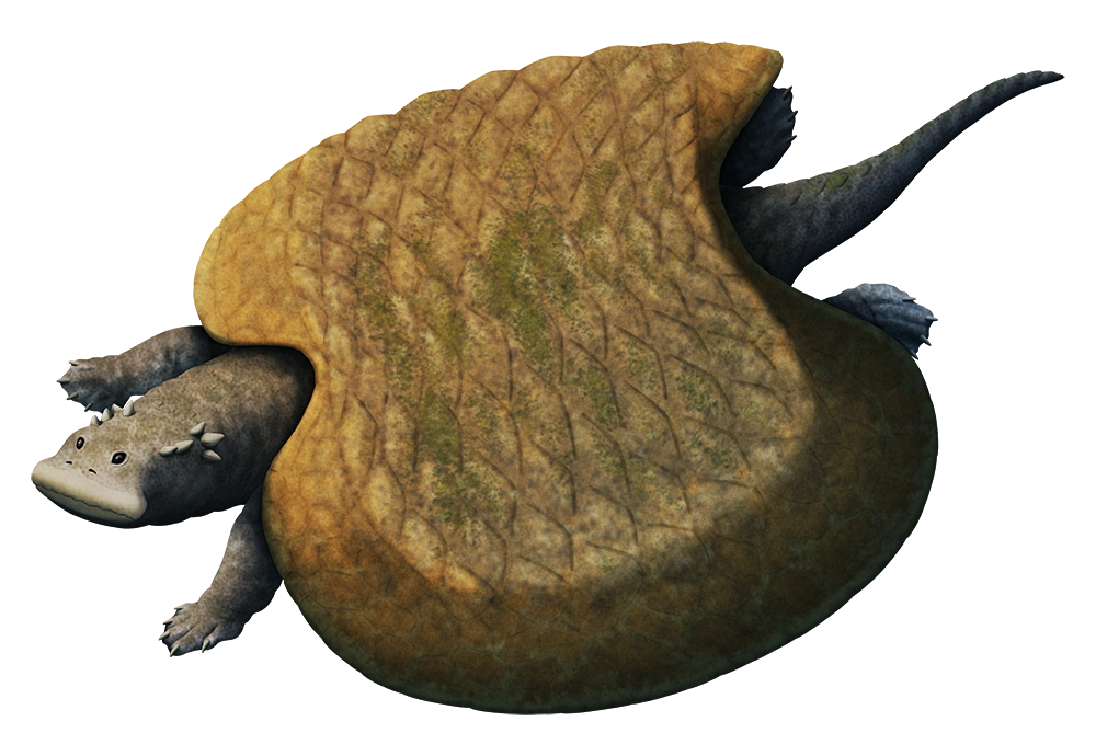 Allaeochelys | PrehistoricPokemon Wiki | Fandom