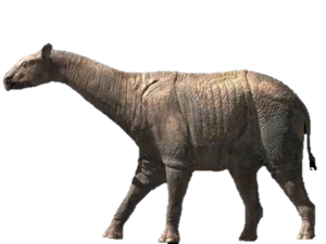 Paraceratherium | PrehistoricPokemon Wiki | Fandom