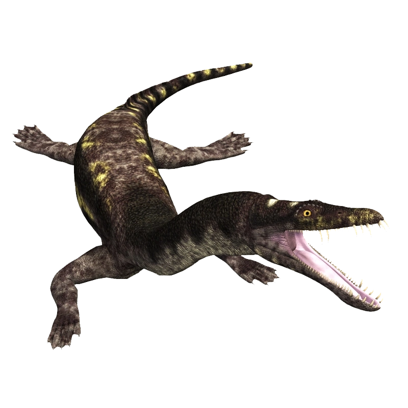 Nothosaurus | PrehistoricPokemon Wiki | Fandom