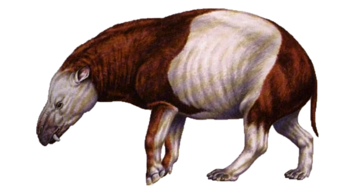 Coryphodon | PrehistoricPokemon Wiki | Fandom