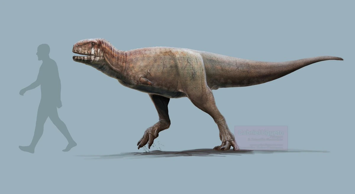 Aucasaurus | Paleo Media Wiki | Fandom