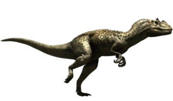 Ceratosaurus | Paleo Media Wiki | Fandom