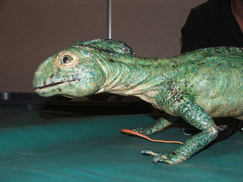 Weigeltisaurus | Paleo Media Wiki | Fandom