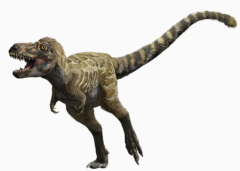 Nanotyrannus