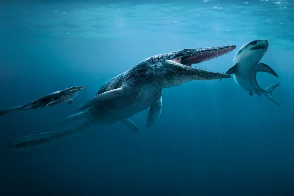 Tylosaurus | Paleo Media Wiki | Fandom