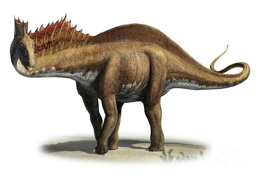 Amargasaurus | Paleo Media Wiki | Fandom