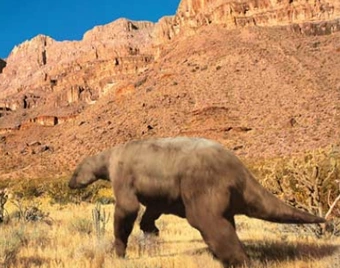 Nothrotheriops | Paleo Media Wiki | Fandom