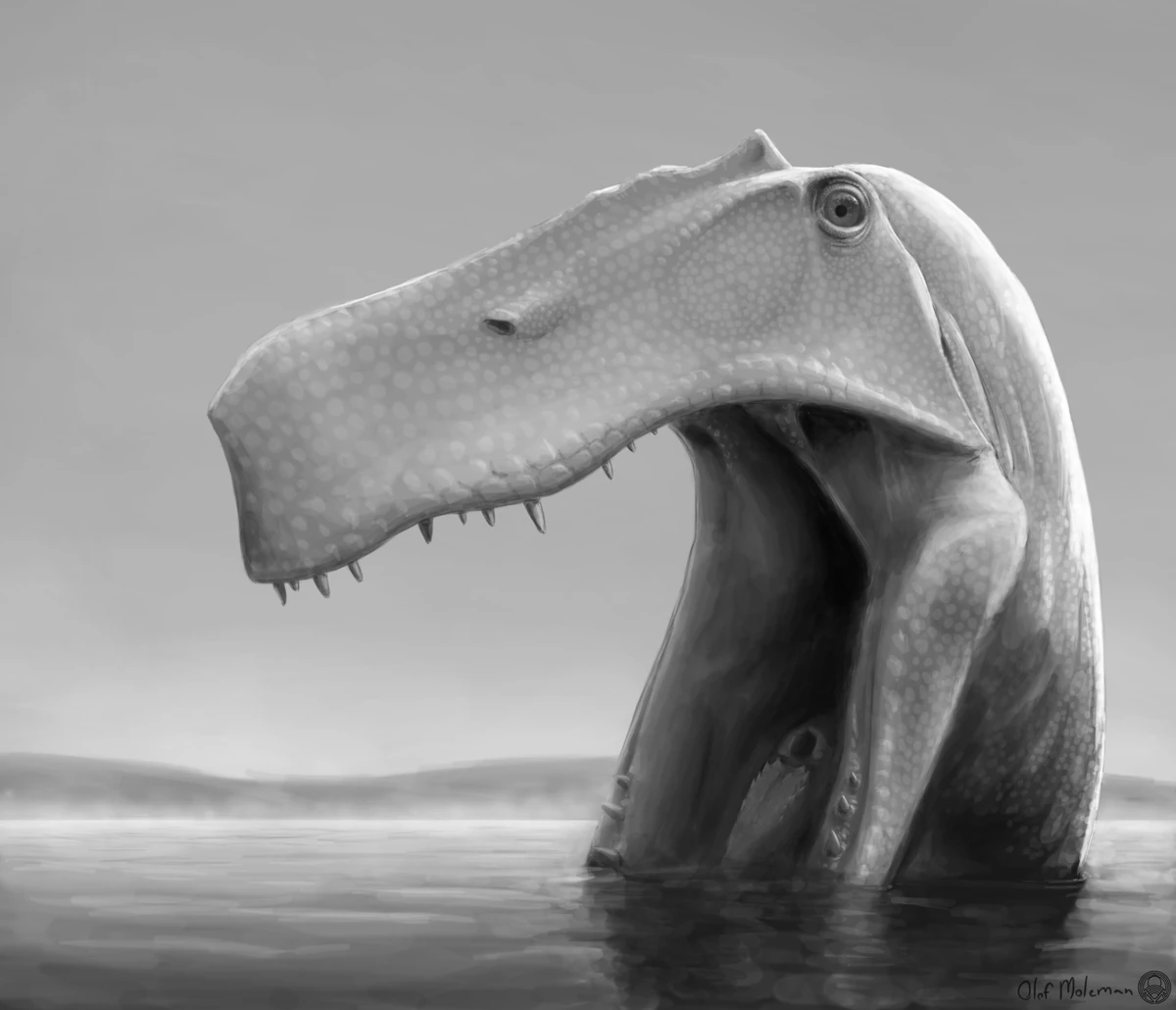 Irritator | Paleo Media Wiki | Fandom