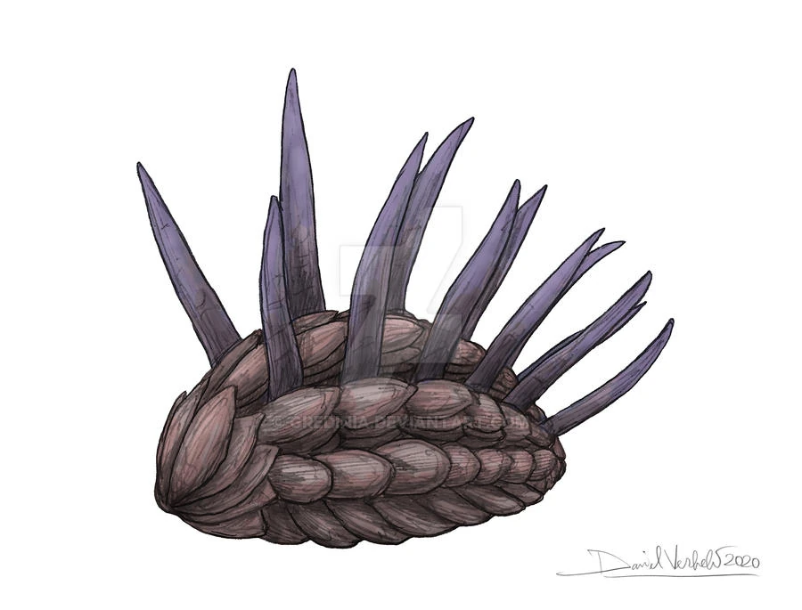 Wiwaxia | Paleo Media Wiki | Fandom