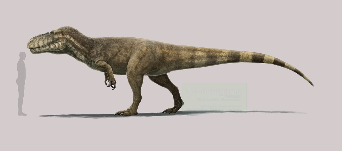 Torvosaurus | Paleo Media Wiki | Fandom