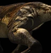 Thrinaxodon | Paleo Media Wiki | Fandom