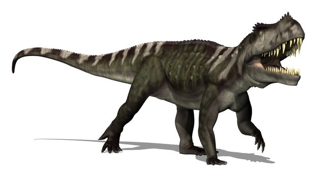 Prestosuchus | Paleo Media Wiki | Fandom