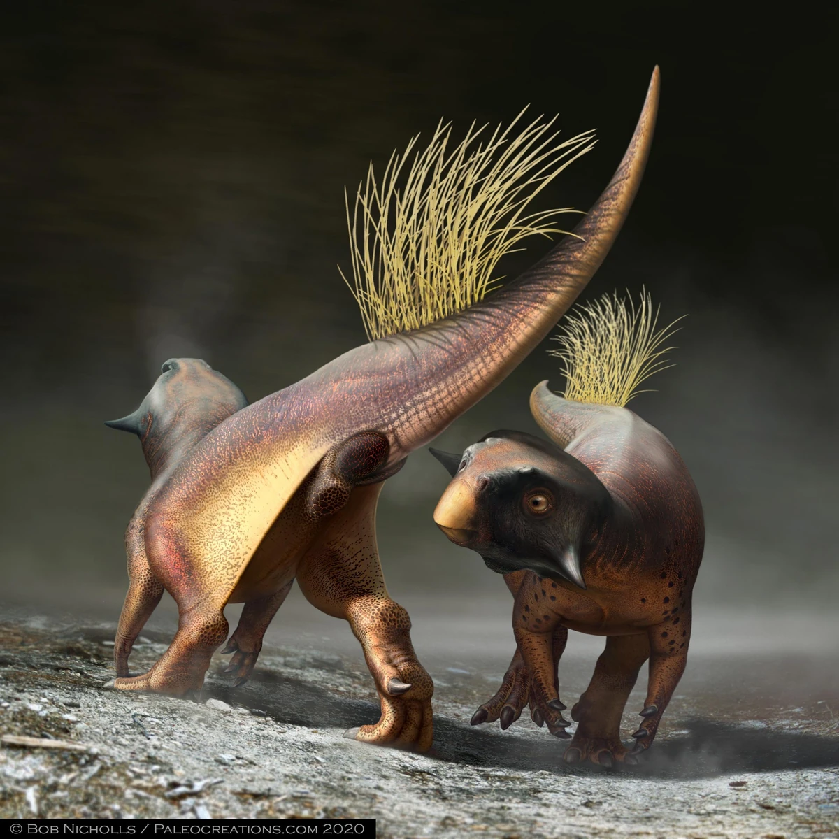 Psittacosaurus | Paleo Media Wiki | Fandom