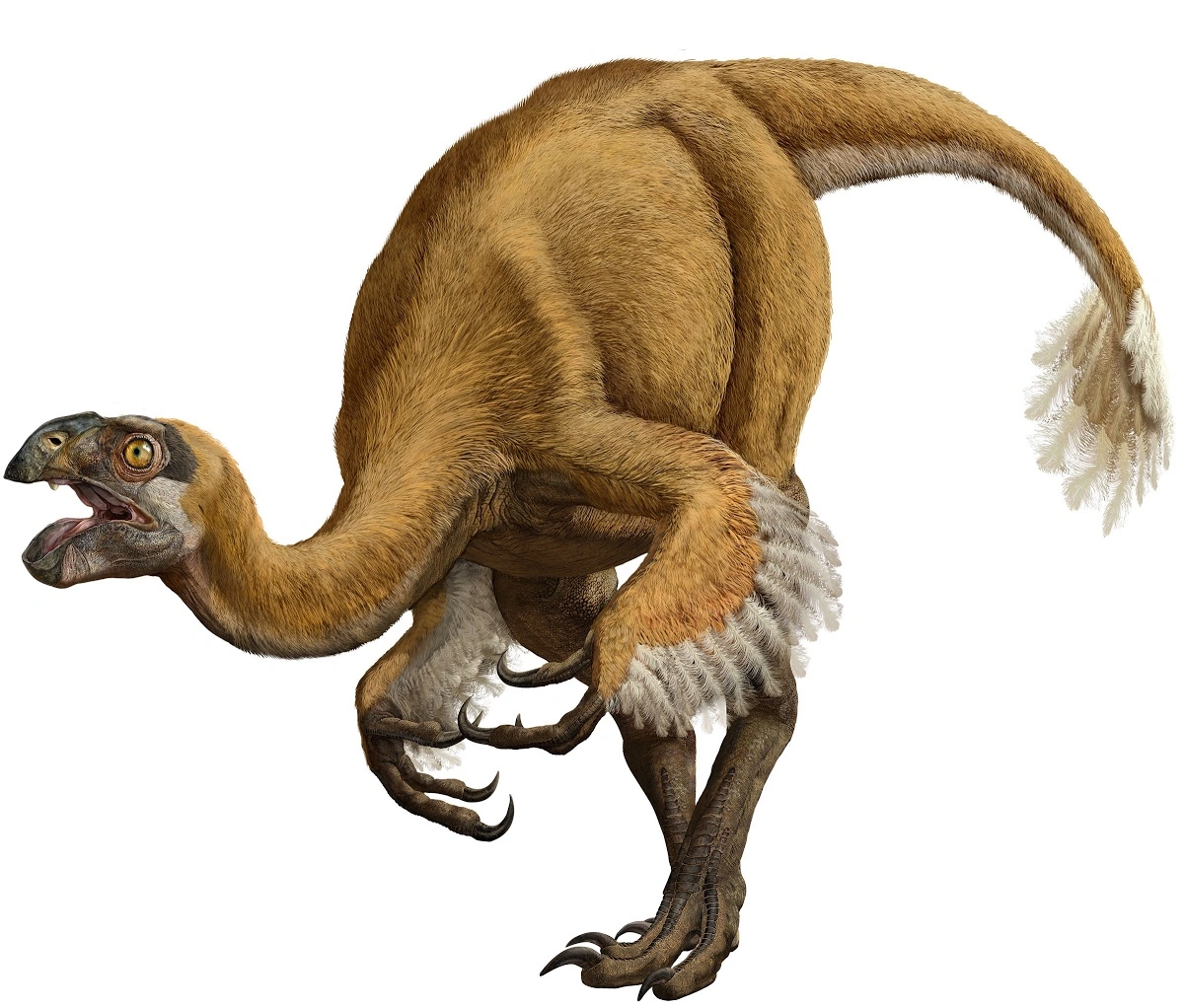 Gigantoraptor Dinosaur Revolution