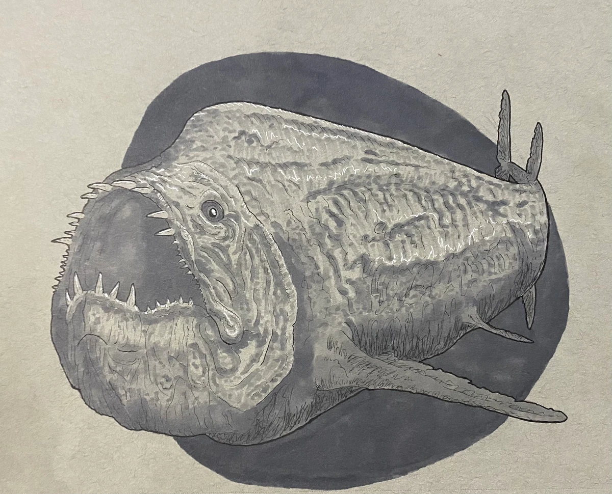 Xiphactinus | Paleo Media Wiki | Fandom