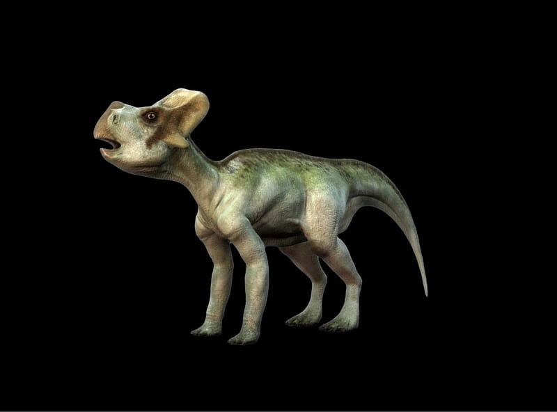 Leptoceratops | Paleo Media Wiki | Fandom