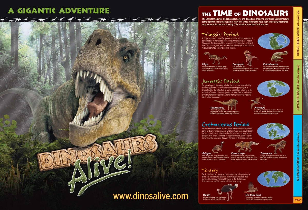 Redondasaurus | Paleo Media Wiki | Fandom