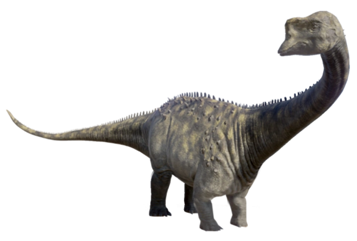 Borealosaurus | Paleo Media Wiki | Fandom