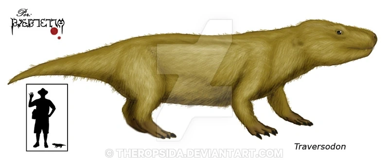 Traversodon | Paleo Media Wiki | Fandom