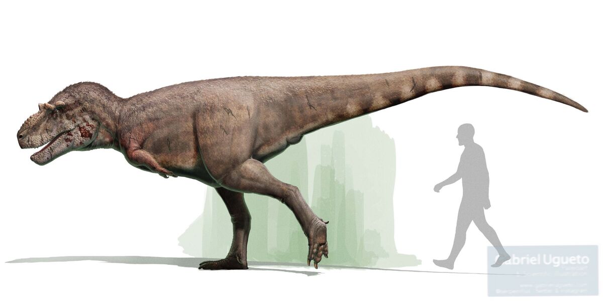 Lythronax Paleo Media Wiki Fandom
