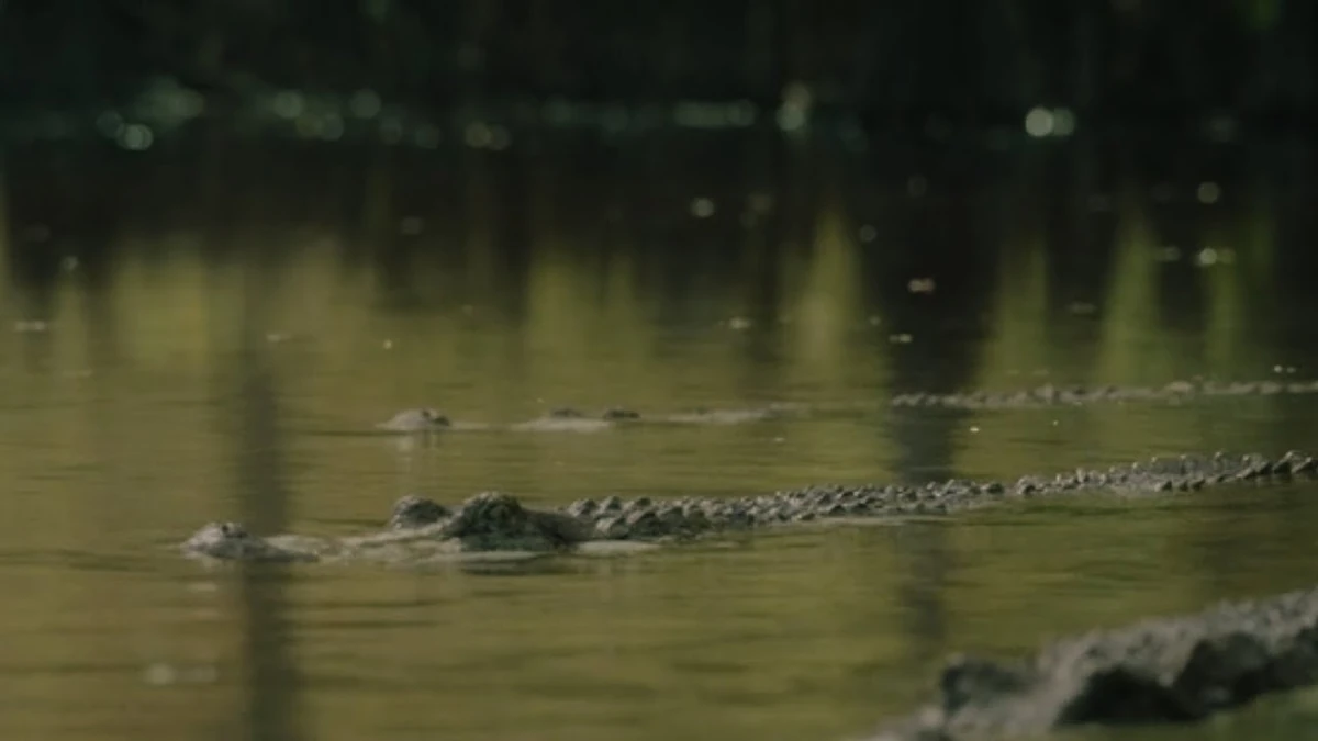 Shamosuchus | Paleo Media Wiki | Fandom