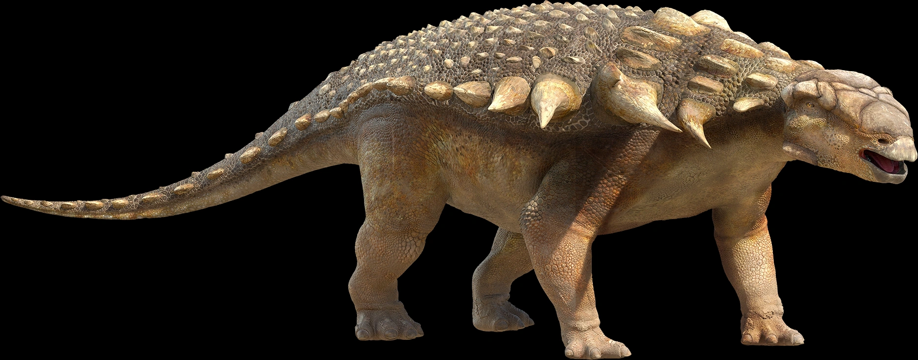 Edmontonia Wandelen Met Dinosaurussen Meet Edmontonia! Built Like A