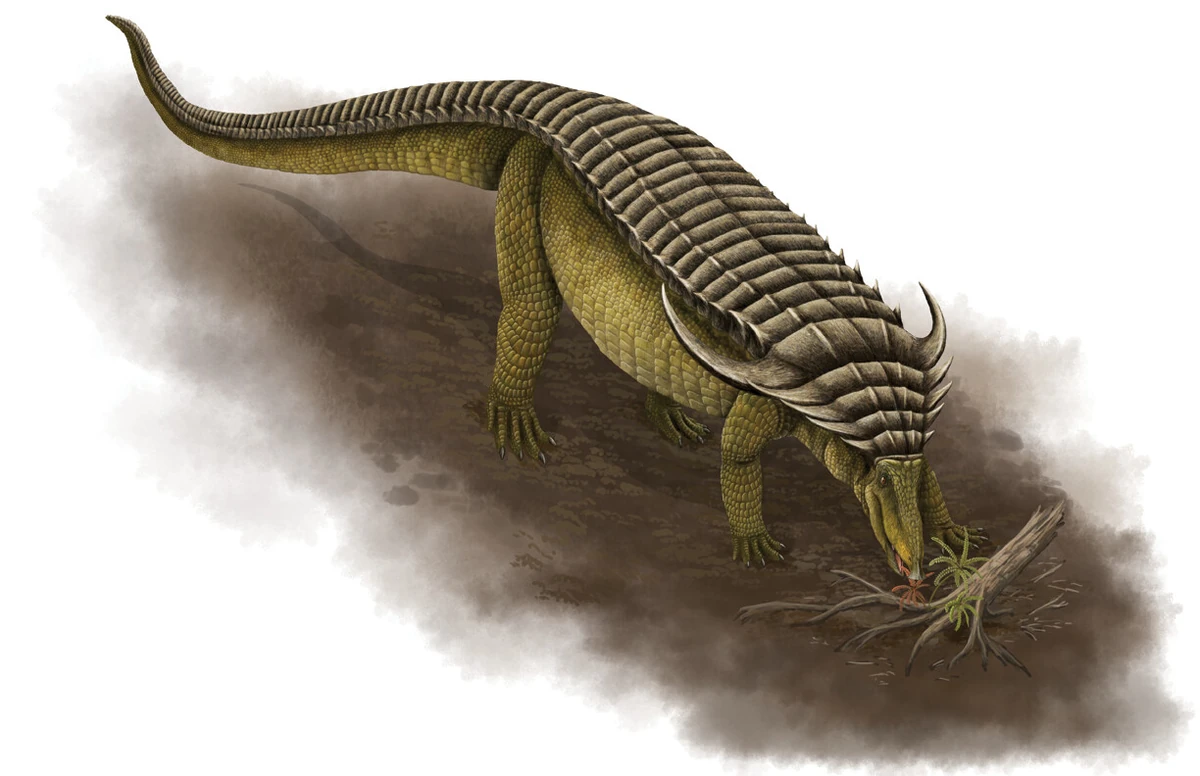 Desmatosuchus | Paleo Media Wiki | Fandom