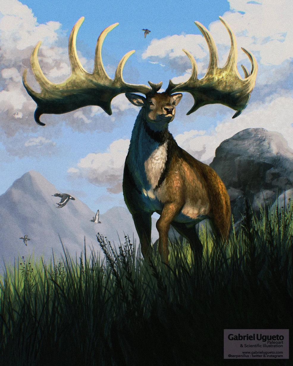 largest prehistoric deer