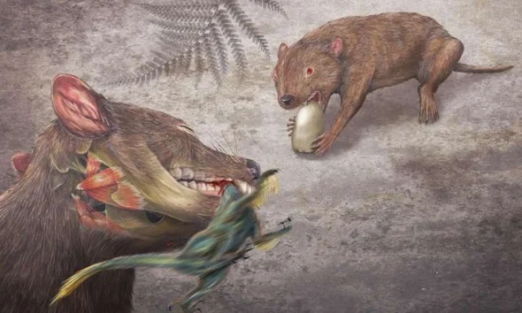 Didelphodon | Paleo Media Wiki | Fandom