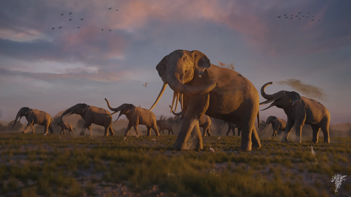 Stegotetrabelodon | Paleo Media Wiki | Fandom