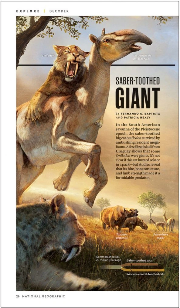 Smilodon | Paleo Media Wiki | Fandom