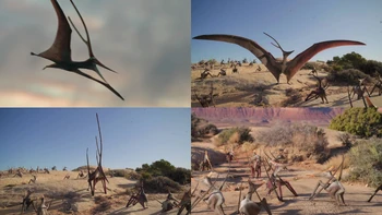 Barbaridactylus | Paleo Media Wiki | Fandom