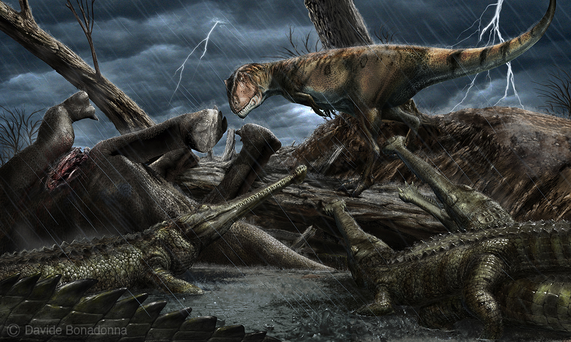Carcharodontosaurus Paleo Media Wiki Fandom