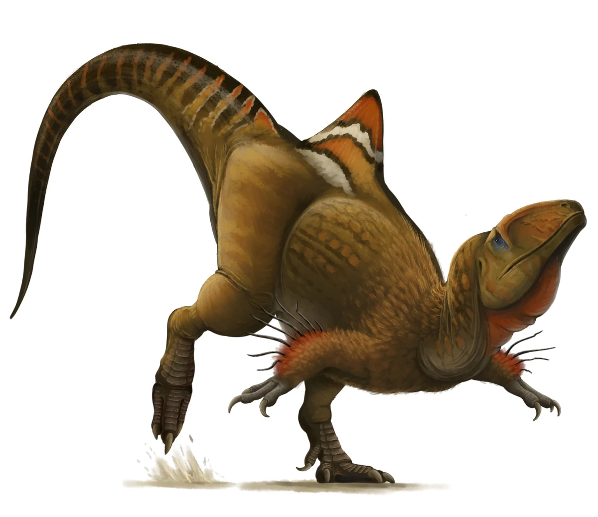 Concavenator | Paleo Media Wiki | Fandom