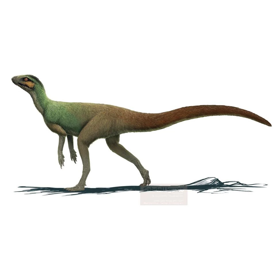 Pisanosaurus | Paleo Media Wiki | Fandom