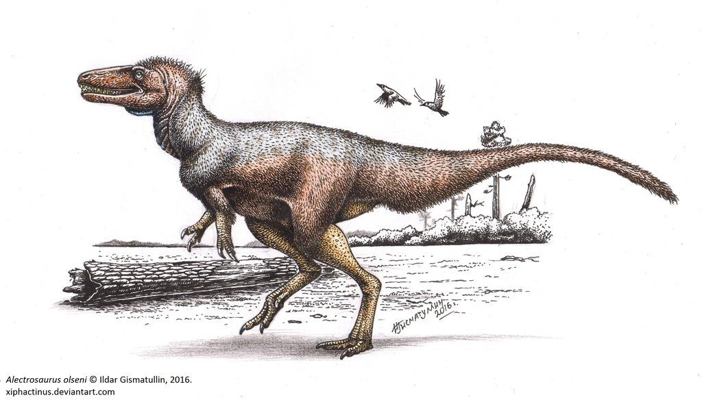 Alectrosaurus | Paleo Media Wiki | Fandom