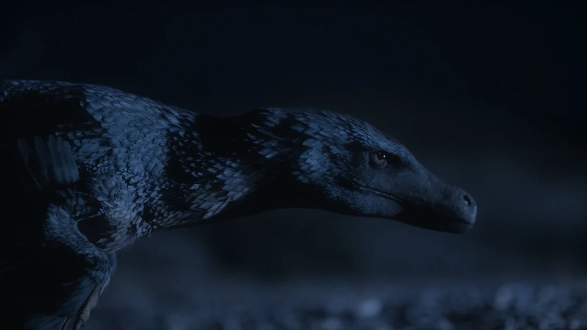 Kuru kulla | Paleo Media Wiki | Fandom