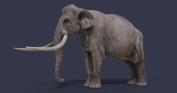 Straight-tusked elephant | Paleo Media Wiki | Fandom