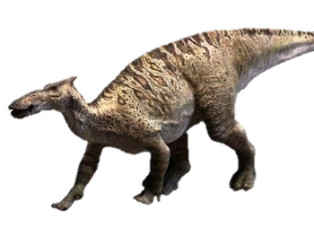 Saurolophus | Paleo Media Wiki | Fandom