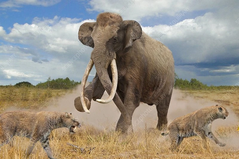 Steppe Mammoth | Paleo Media Wiki | Fandom