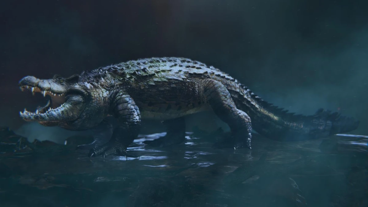 Voay | Paleo Media Wiki | Fandom