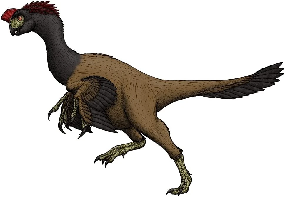 Citipati | Paleo Media Wiki | Fandom