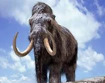 Quarternary/Neogene (Period) | Prehistory Wiki | Fandom
