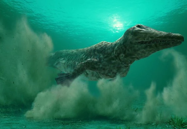 Ambulocetus | Prehistory Wiki | Fandom