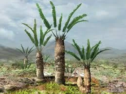 Williamsonia | Prehistoria Fandom | Fandom