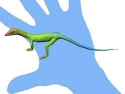 Cosesaurus | Prehistoria Fandom | Fandom