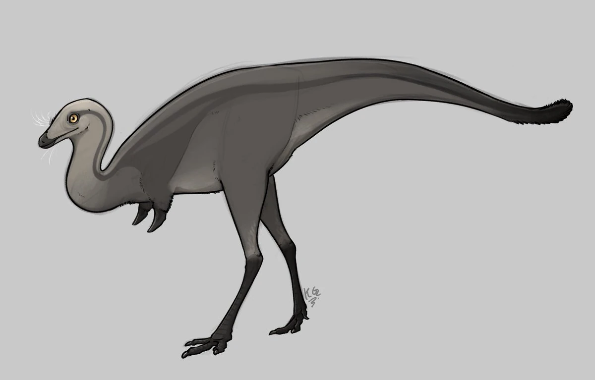 Patagonykus | Prehistoria Fandom | Fandom