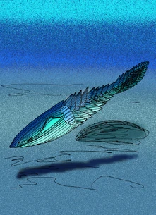 Anglaspis | Prehistoria Fandom | Fandom