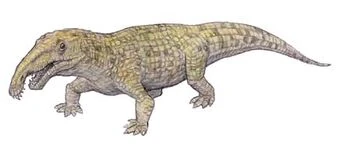 Archosaurus | Prehistoria Fandom | Fandom